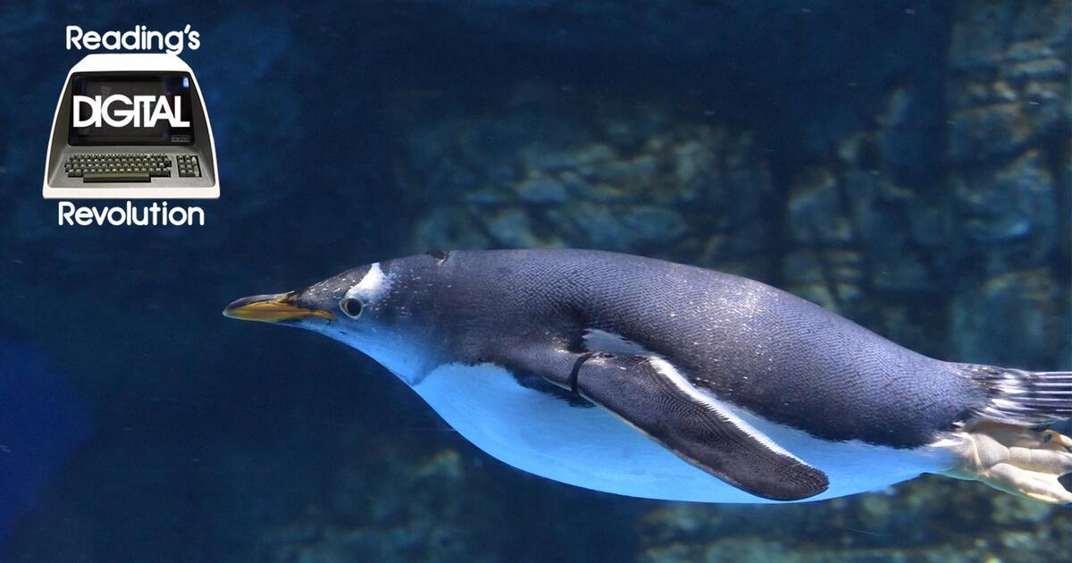 Family Digi-Workshop: Ecocode – Penguins | Reading Museum