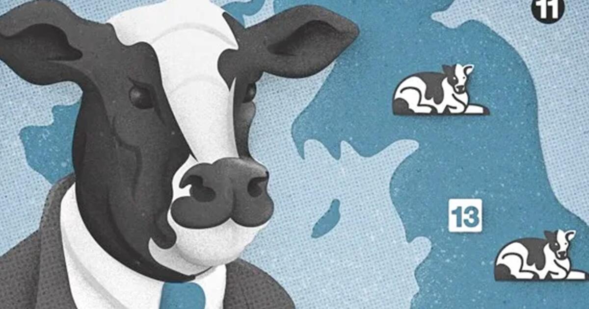 Family Digi-Workshop Day - Weather Cows | Reading Museum